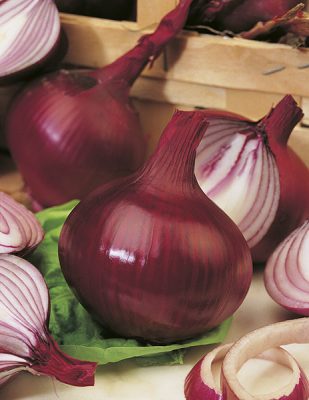RED CREOLE Conventional Seeds, ONION RED ⋆ De Corato Sementi